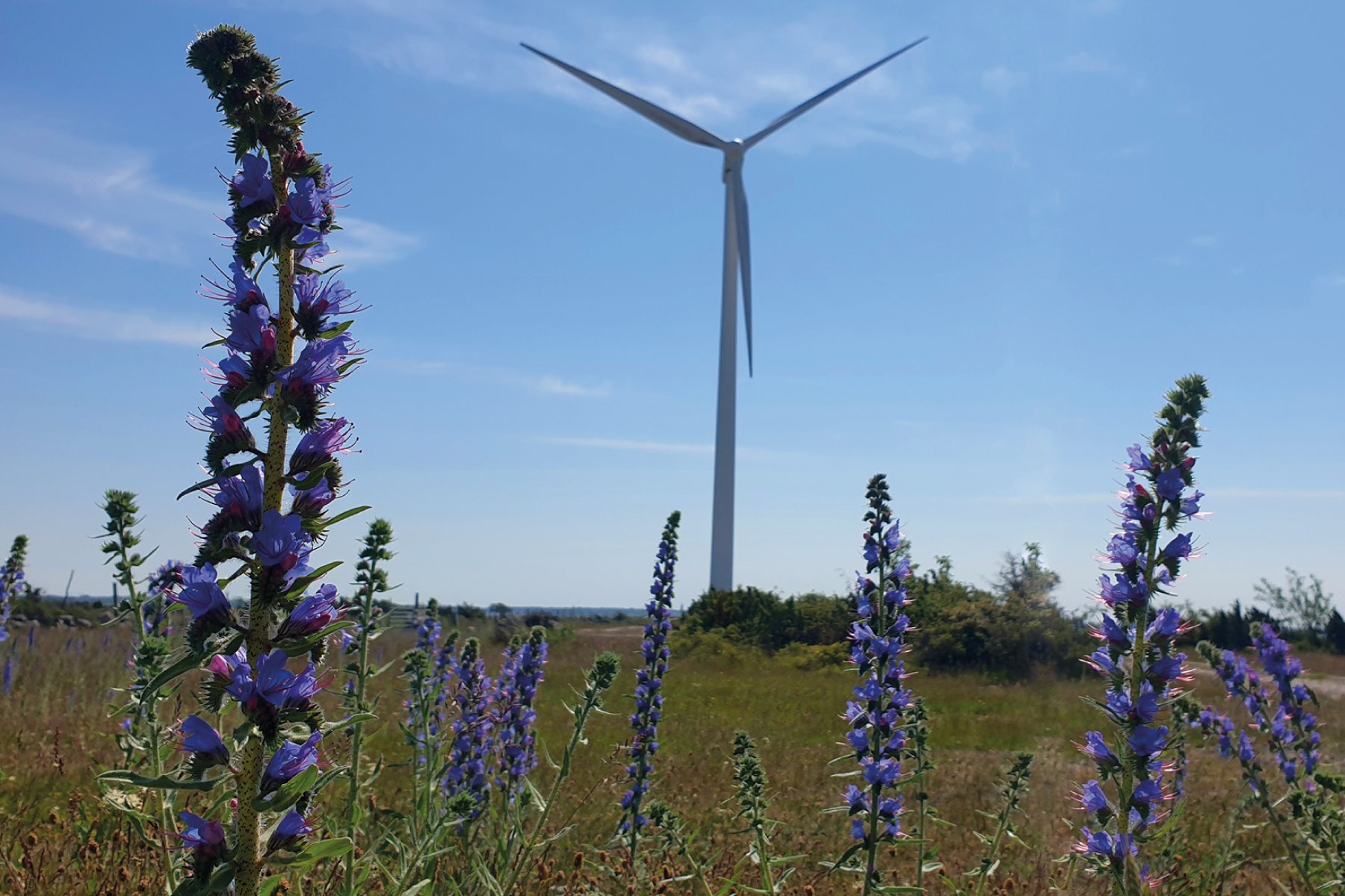 Webcast details for Orrön Energy’s Q2 presentation - Orron Energy